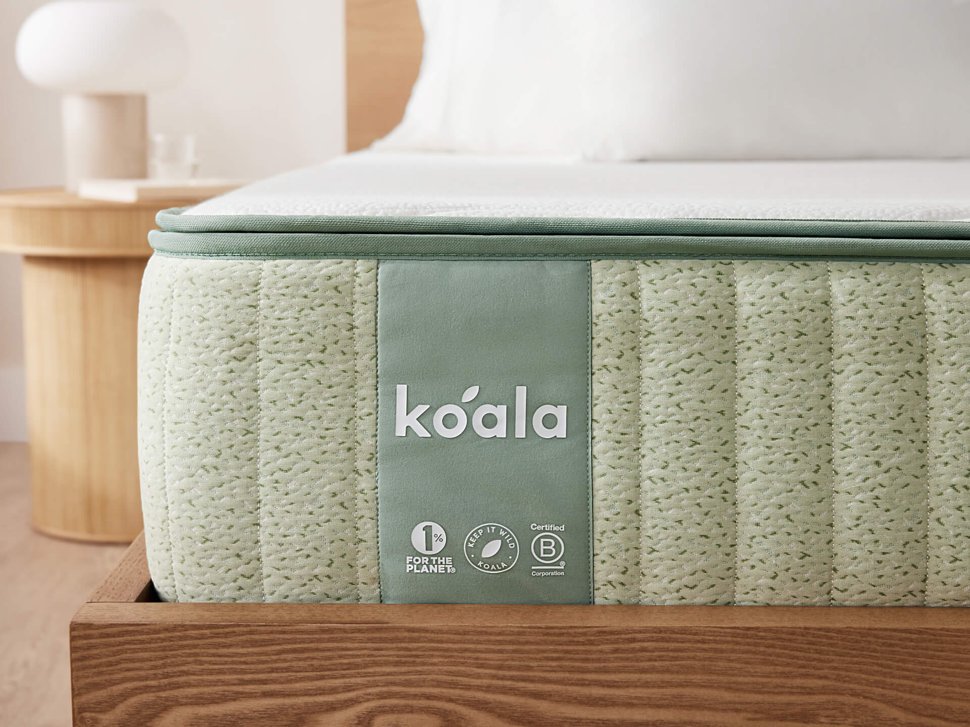 How Koala Used Smart Branding & Consumer Insights To Expand Beyond ...
